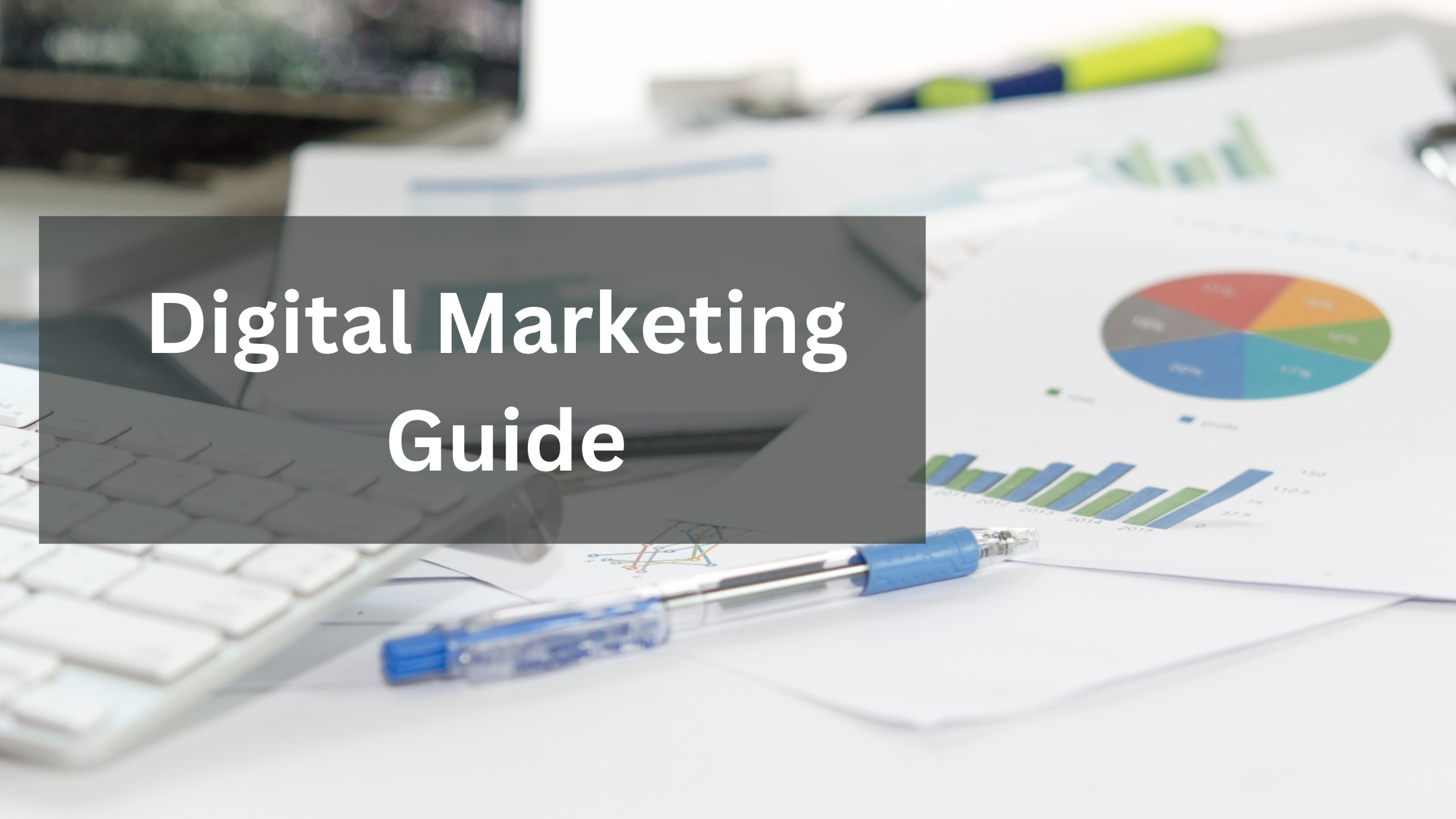 Nevolytics - Digital Marketing Agency